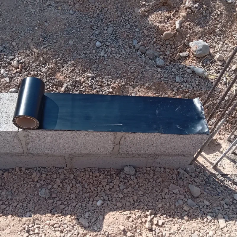 SAB® Damp Proof Master | SAB GATE